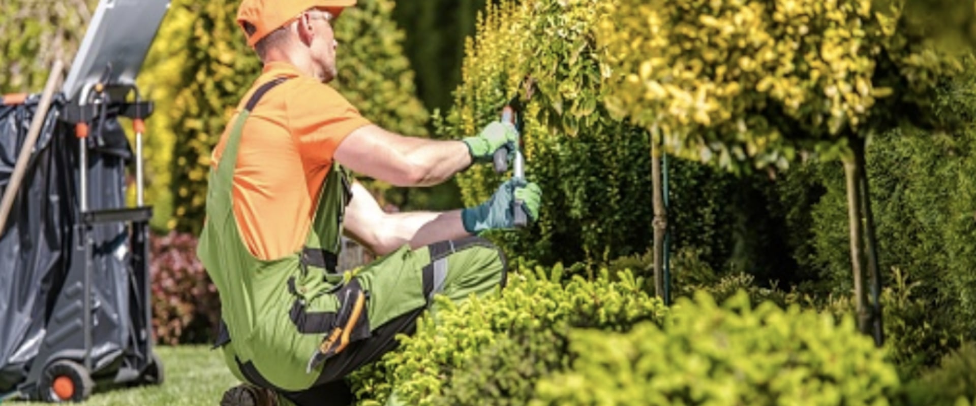 Are Landscaping Businesses Profitable? A Comprehensive Guide